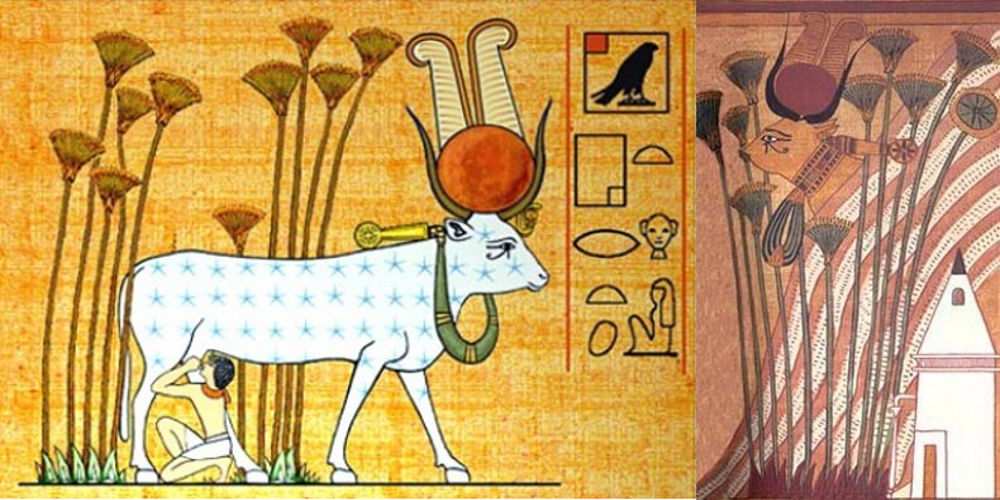 Egyptian God Hathor Cow