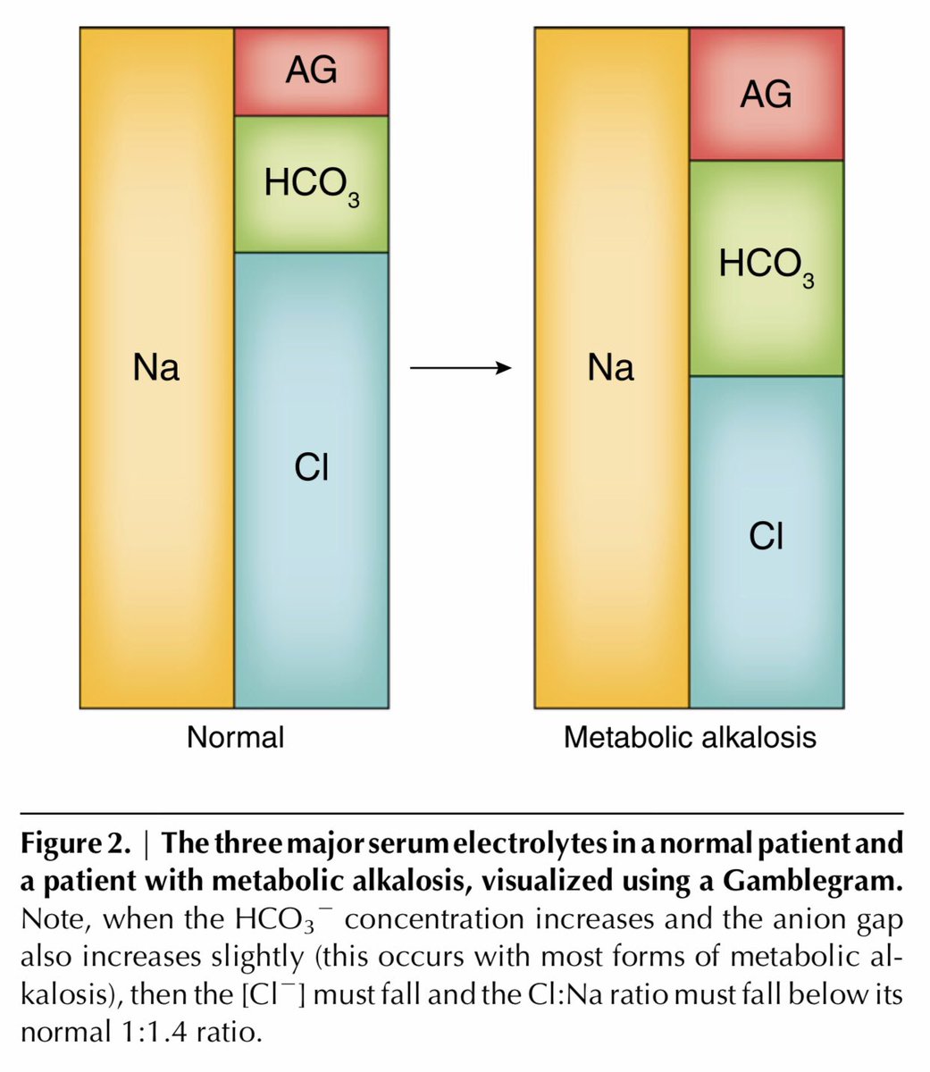 Thread by @edgarvlermamd on Thread Reader App – Thread Reader App