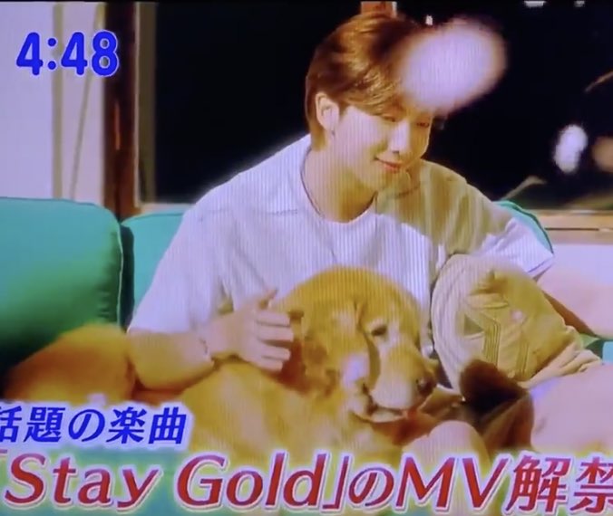 Soo Choi 💜 (REST) on Twitter: "Maybe we can see that Retriever with Namjoon in Stay Gold MV ...