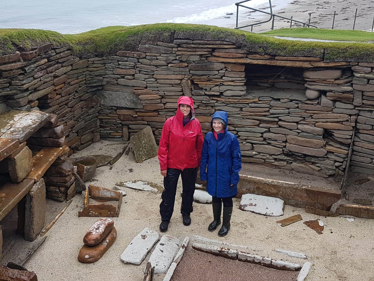 Grab your archaeology tools! ⛏️ It’s time to dig into an all-new ...