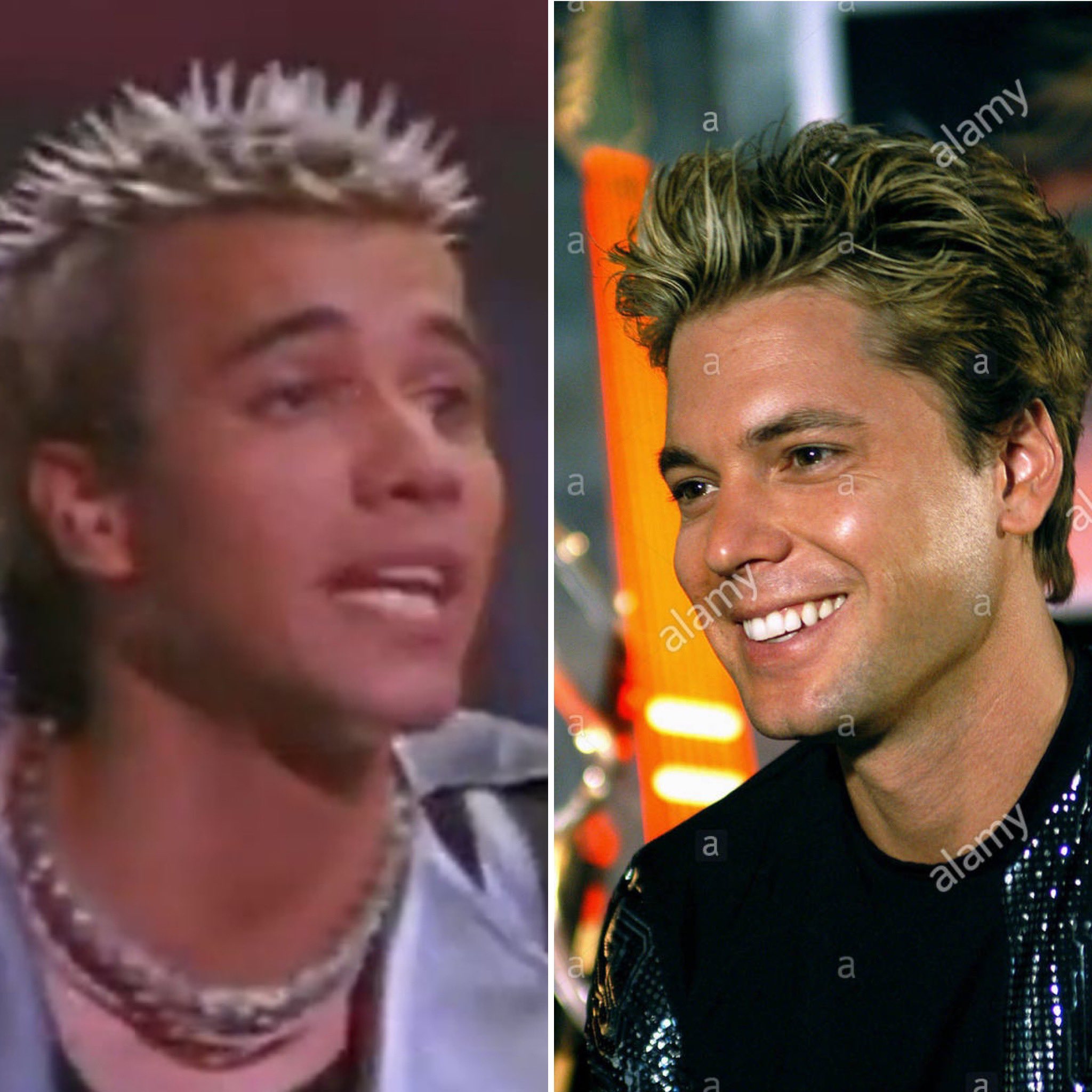 Protozoa Zenon