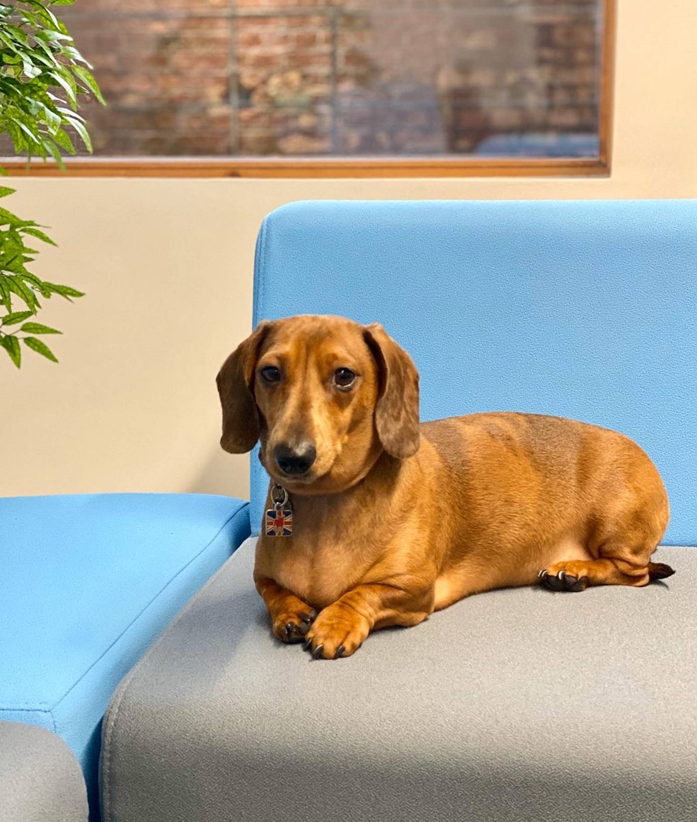 TechAlign Ltd (@TechAlignLtd) | Twitter