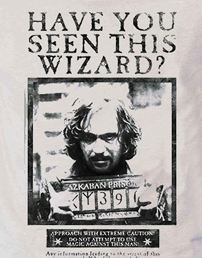 Have You Seen This Wizard Poster