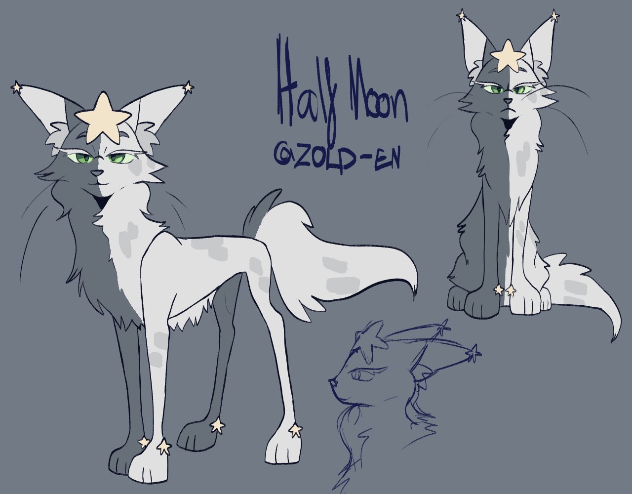 Warrior Cats Half Moon