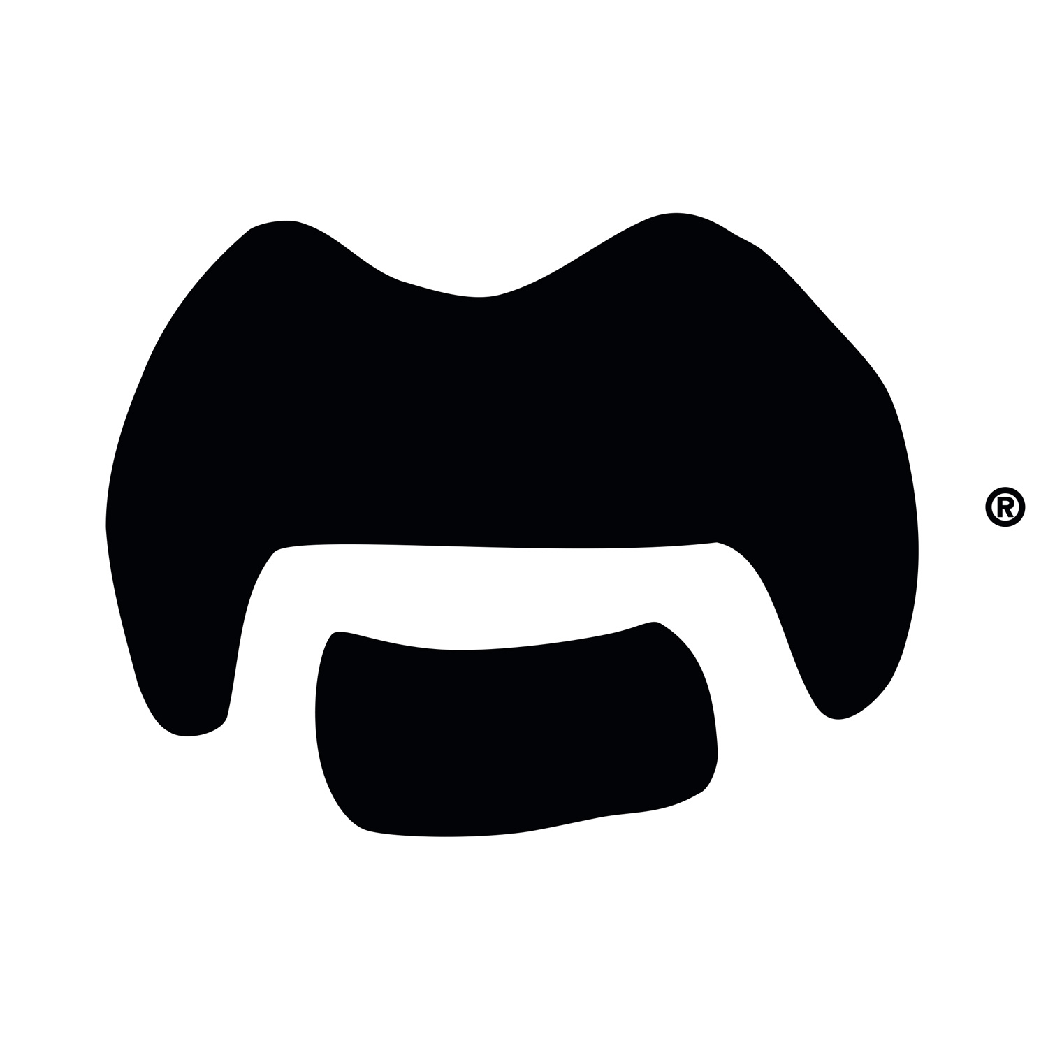 Frank Zappa Moustache