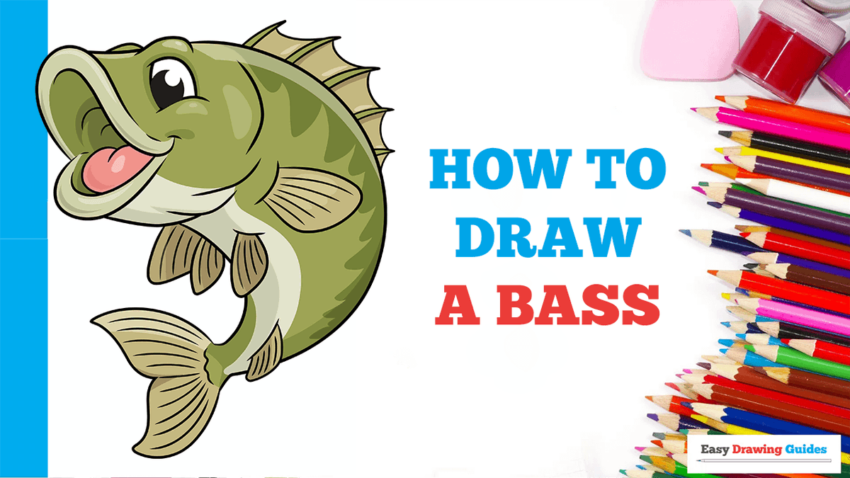 Easy Bass Drawing