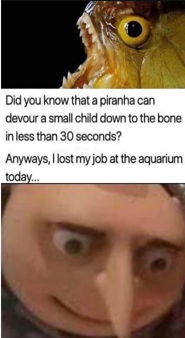 You Lost Meme