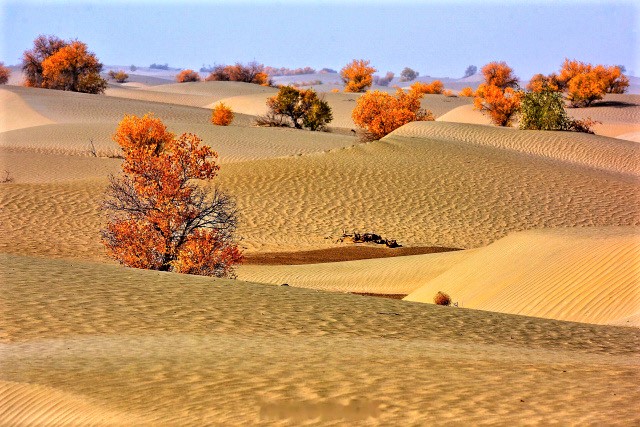 Turkestan Desert Location