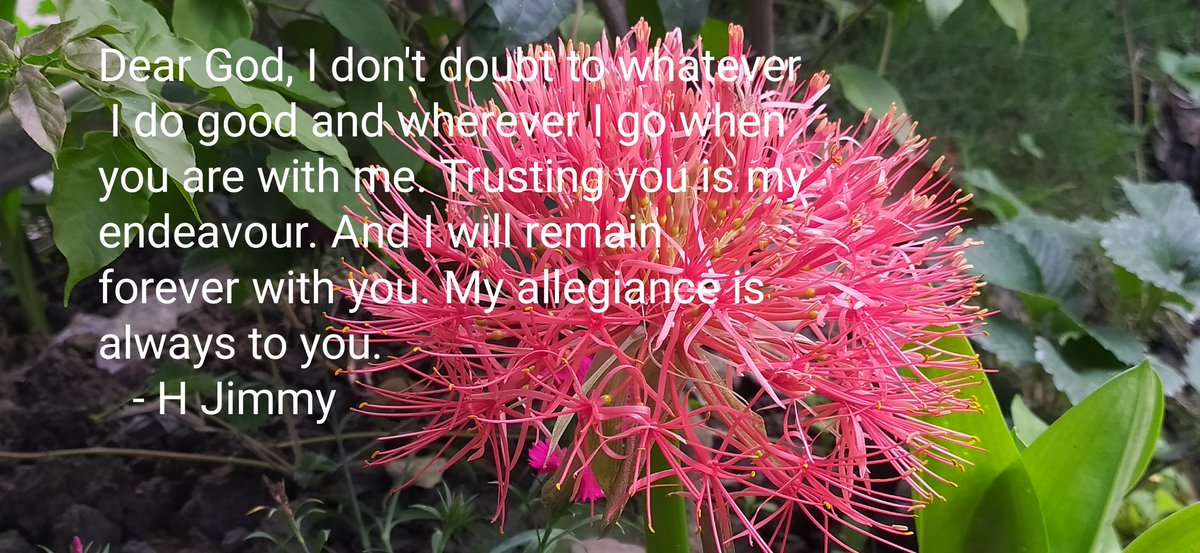 Adventist Manipur (@AdventistManipr) | Twitter