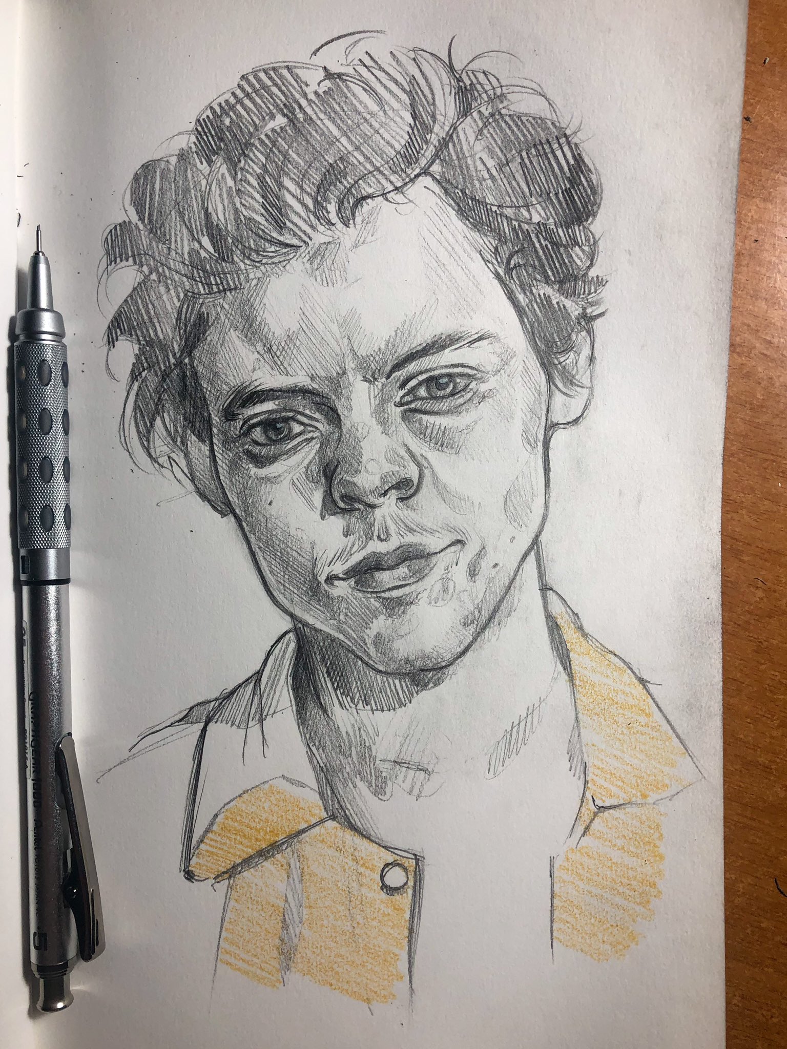 Harry Styles Drawing Pen