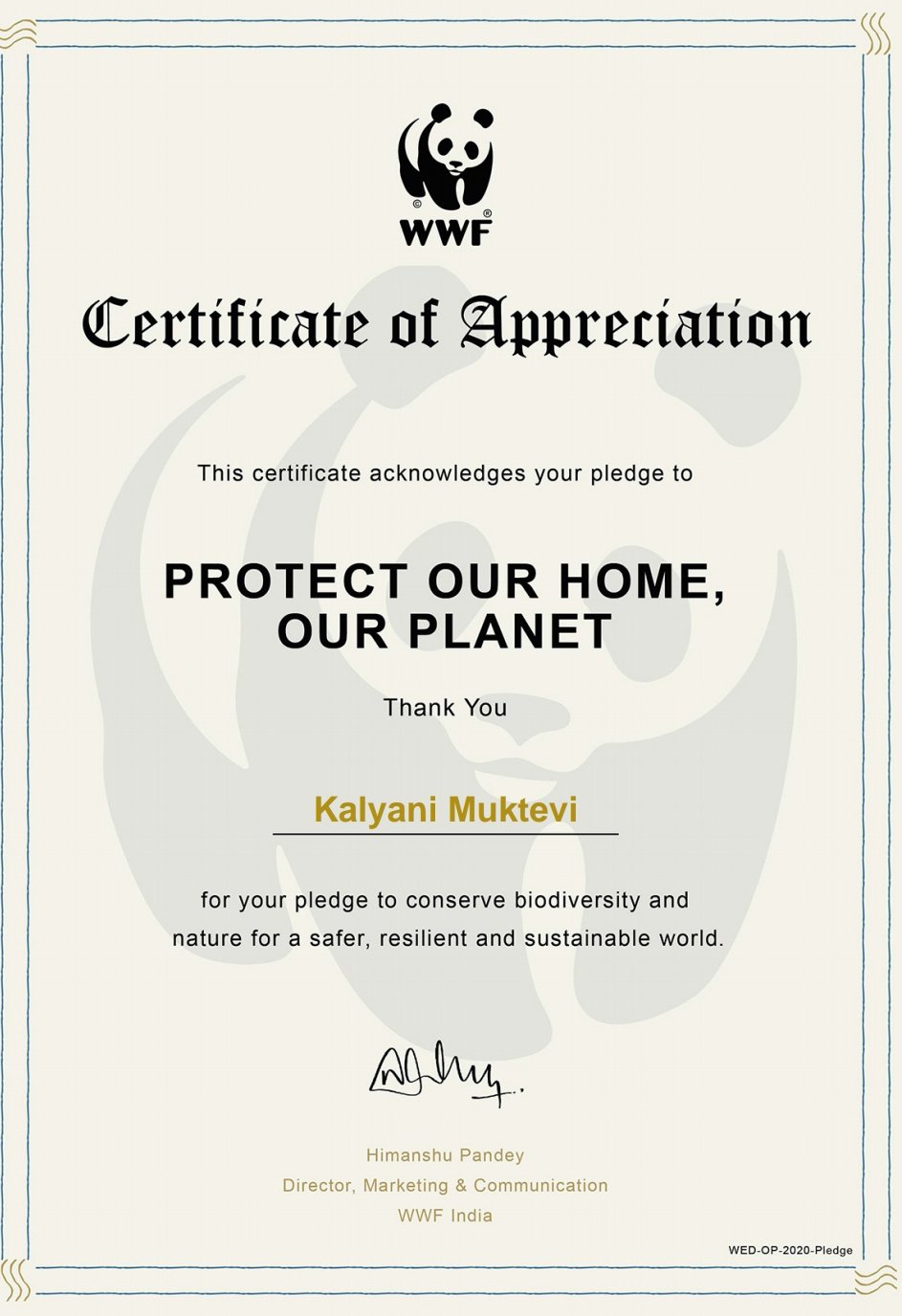 Pledge Certificate Template