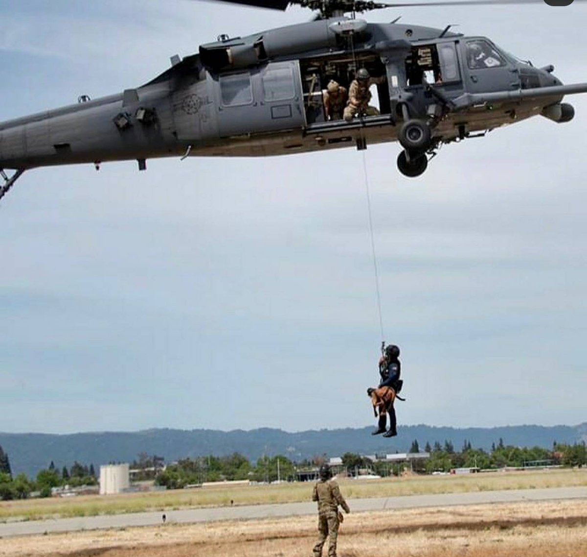 Check out USCG K9 Feco and his handler from MSST San Francisco getting ...