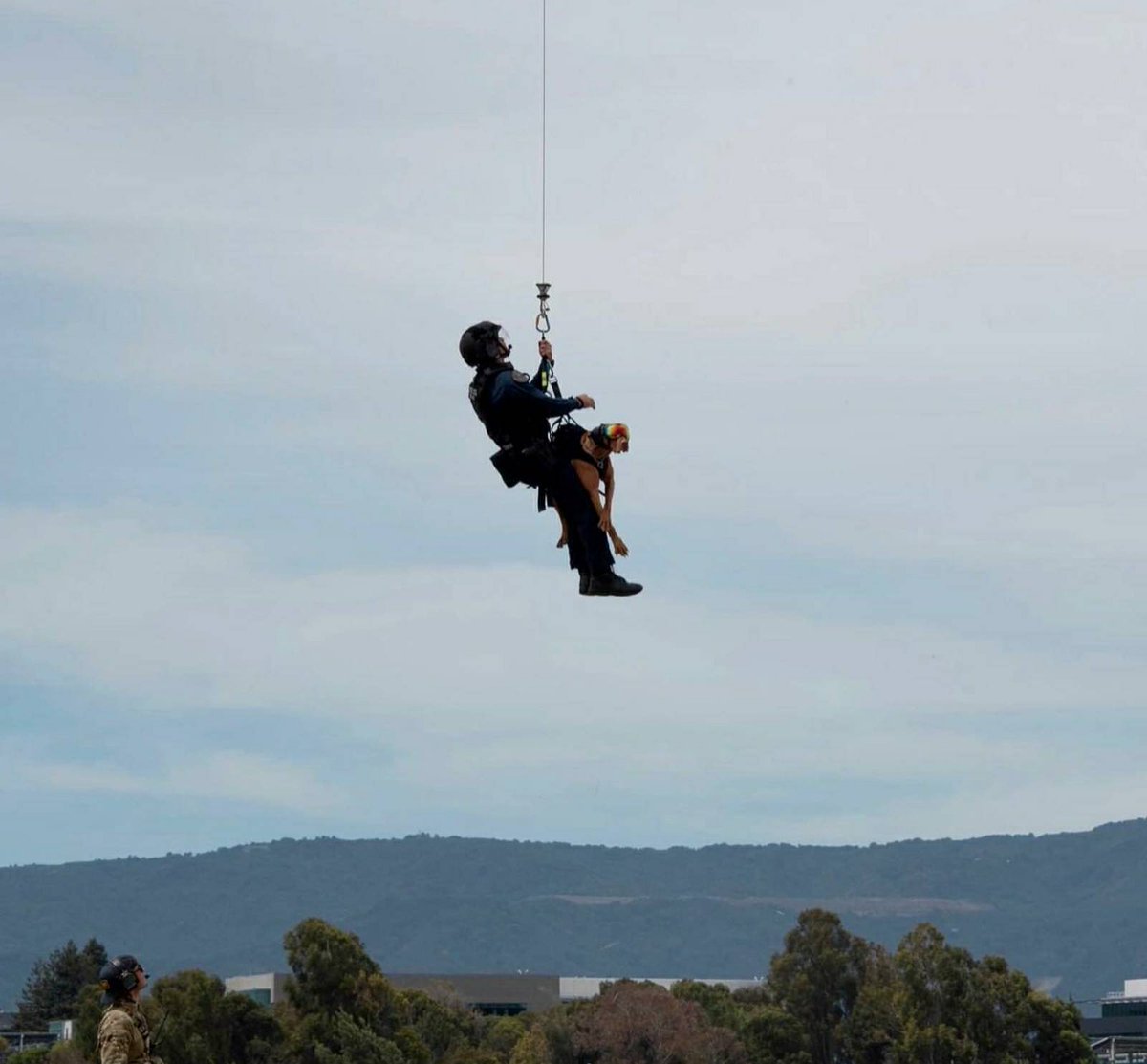 Check out USCG K9 Feco and his handler from MSST San Francisco getting ...