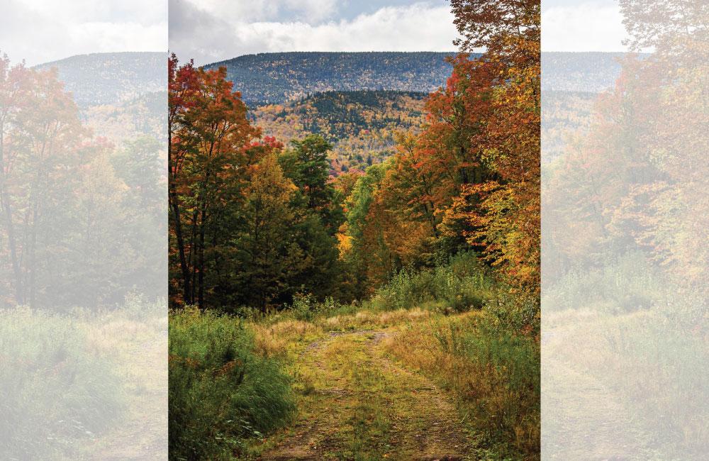 Toni Patnode (@ToniPatnode) | Twitter