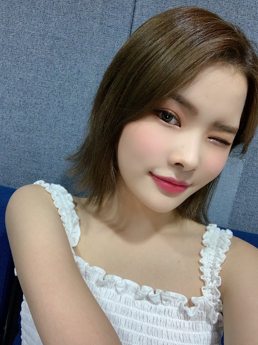 ֶַ֪ ֹ nчч꯭ɑꭑⲓ֗ 🍤̸ׅ ⊹ 𖦹̸ (@ny___aiko) | Twitter