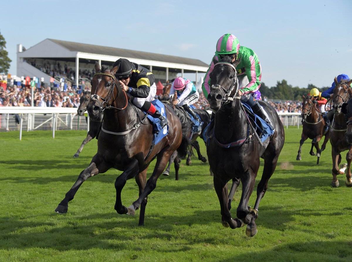 Pogo makes all in the feature race at Windsor - very taking performance ...