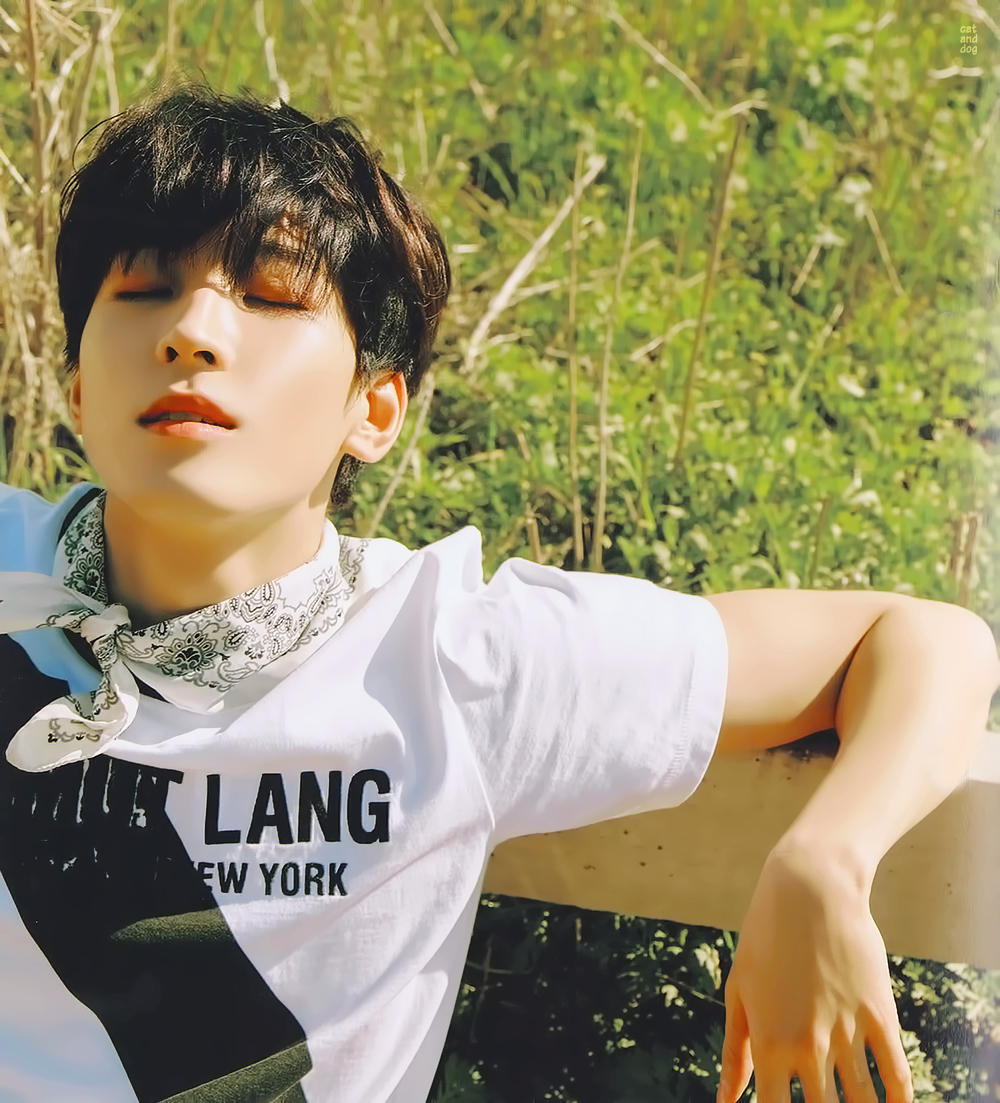 멍냥 취향계 On Twitter [scan] 세븐틴 헹가래 둘 Ver 원우 Wonwoo 스캔