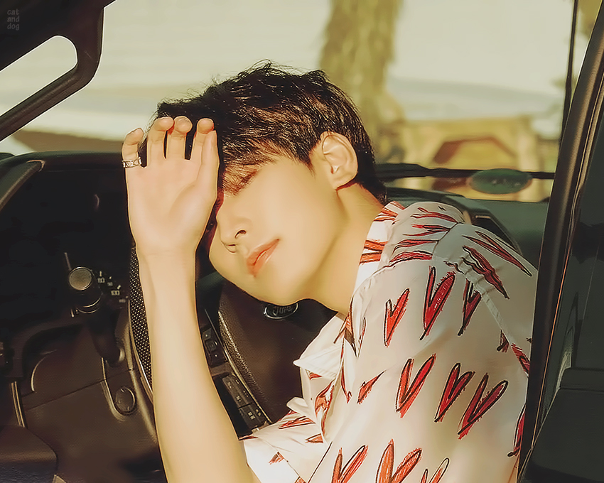 멍냥 취향계 On Twitter [scan] 세븐틴 헹가래 셋 Ver 원우 Wonwoo 스캔…