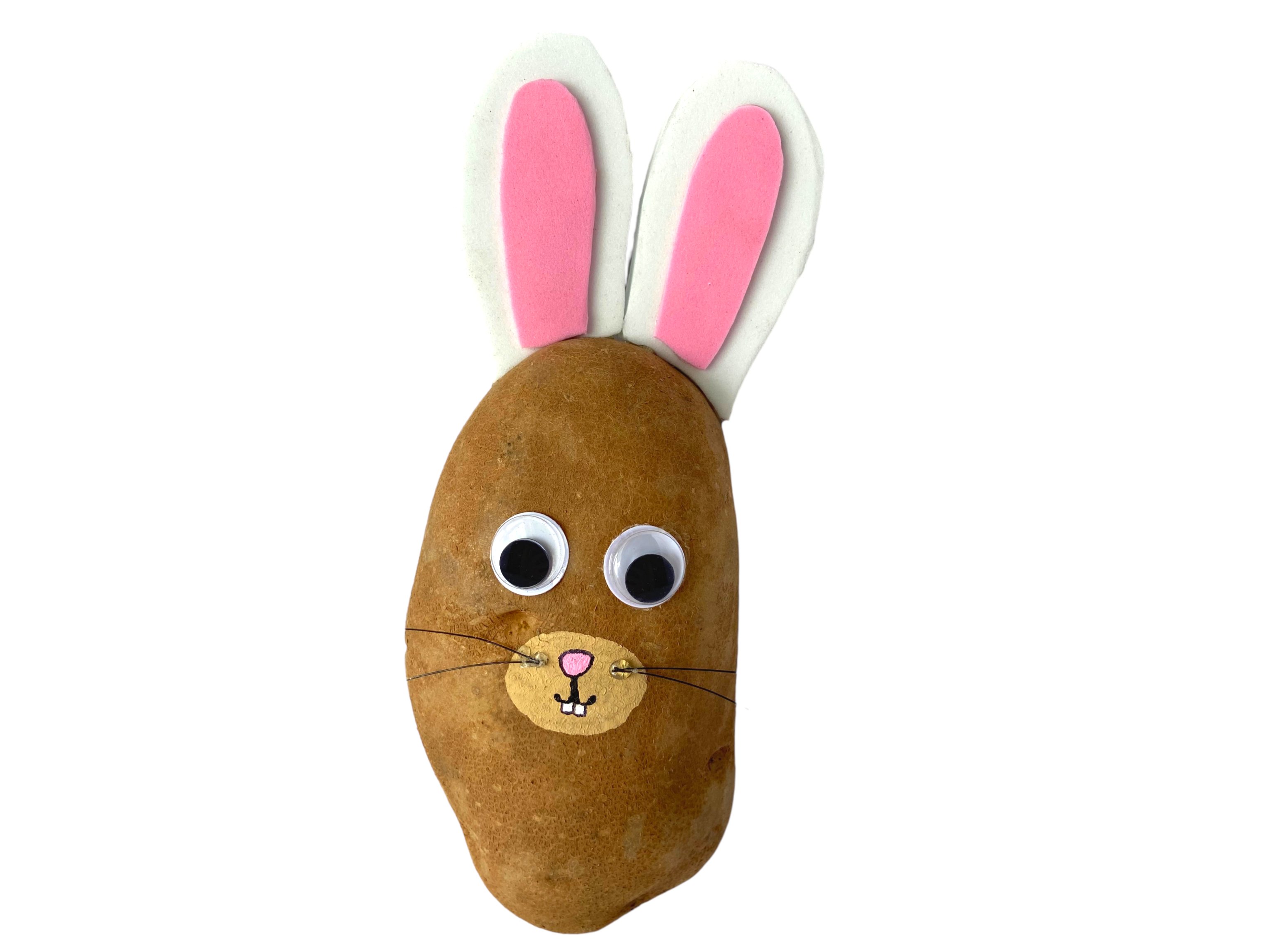 My Potato Pet (@pet_potato) / Twitter