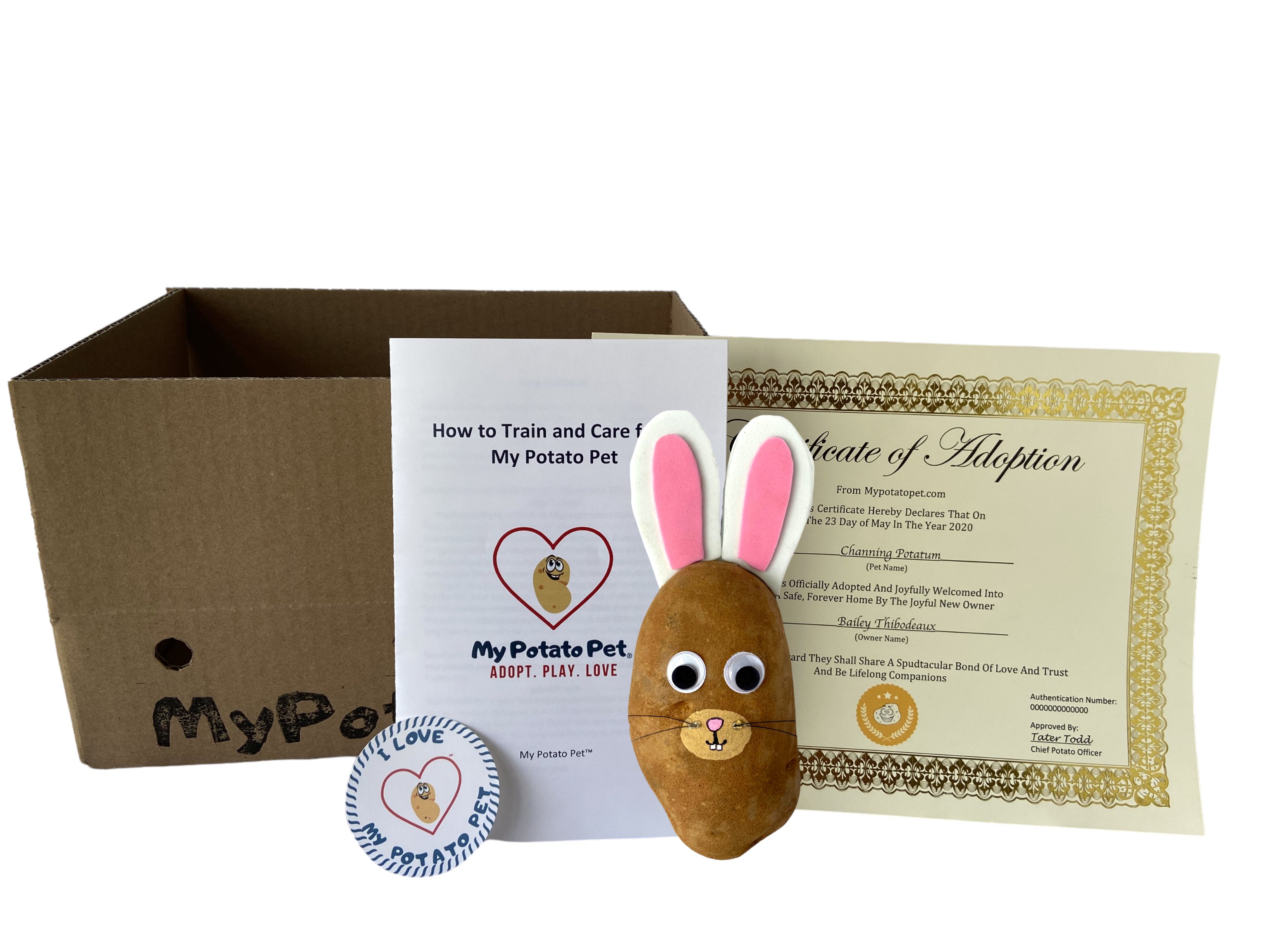 My Potato Pet (@pet_potato) / Twitter