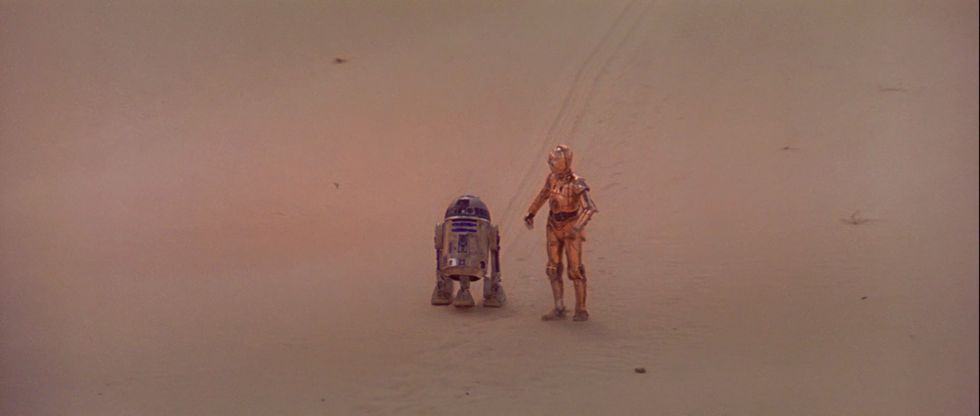 R2d2 And C3po Desert