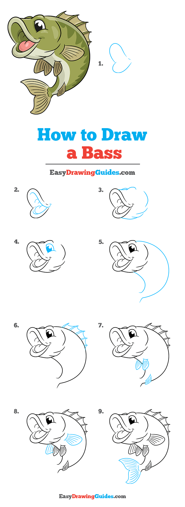 Bass Fish Drawing Step By Step