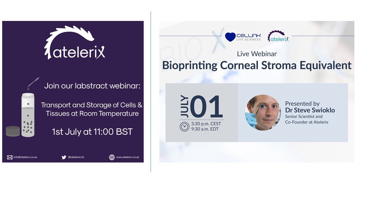 Patrick Thayer (@ThayerPatrick) | Twitter