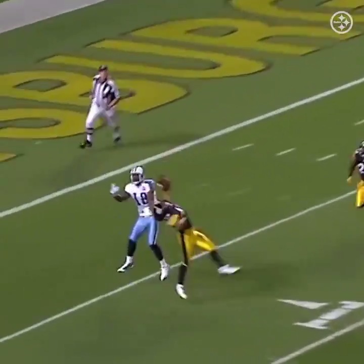 Troy Polamalu One Handed Interception Titans