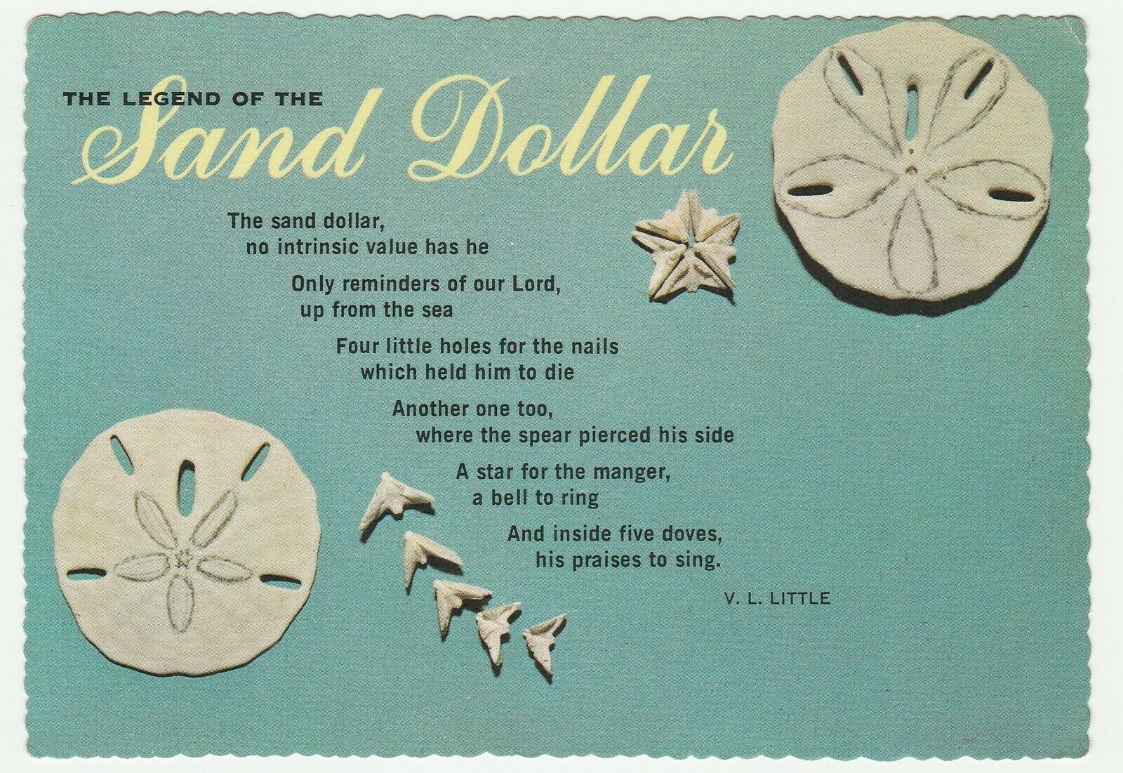 Sand Dollar Doves