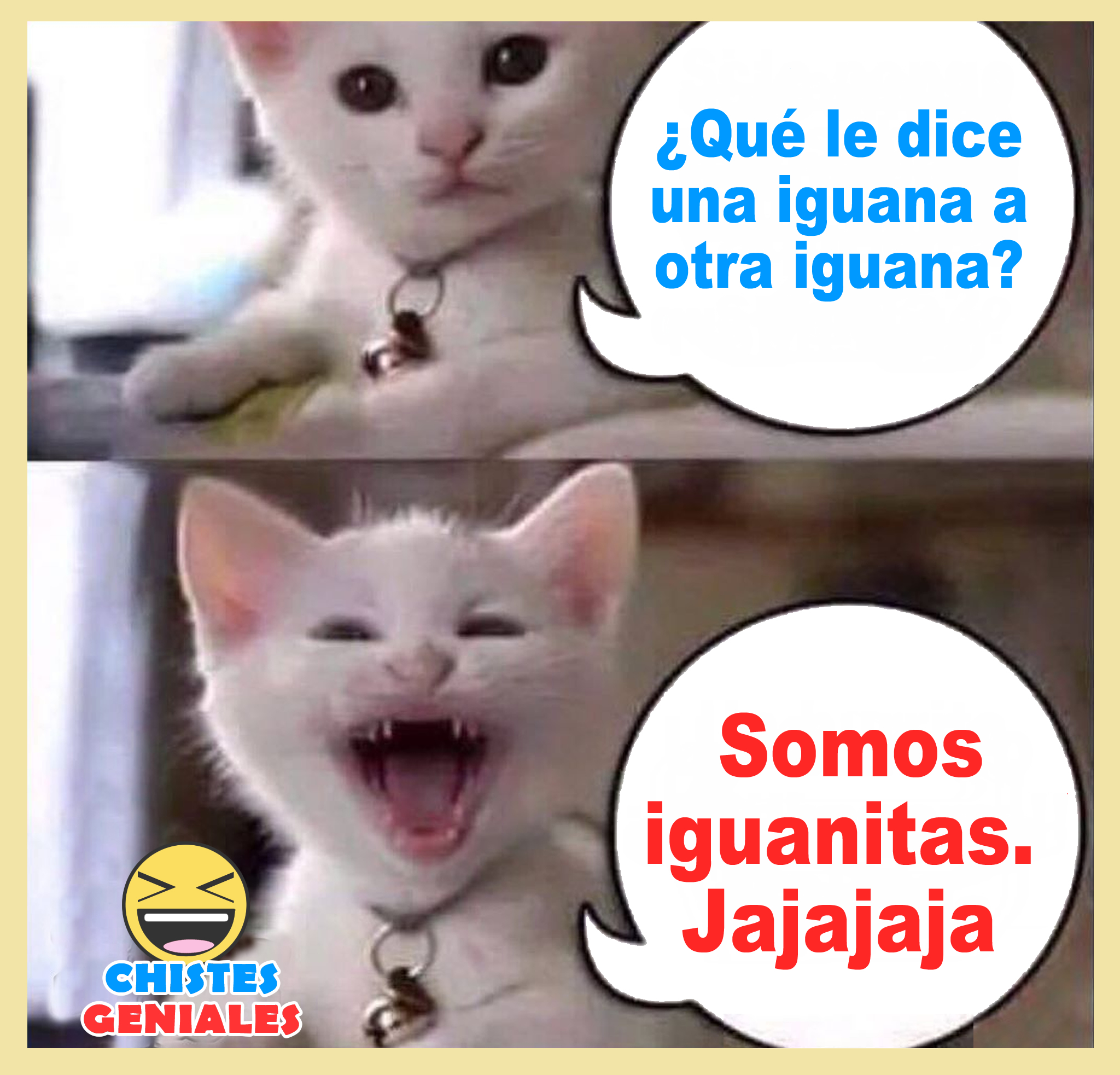 Somos Geniales Memes