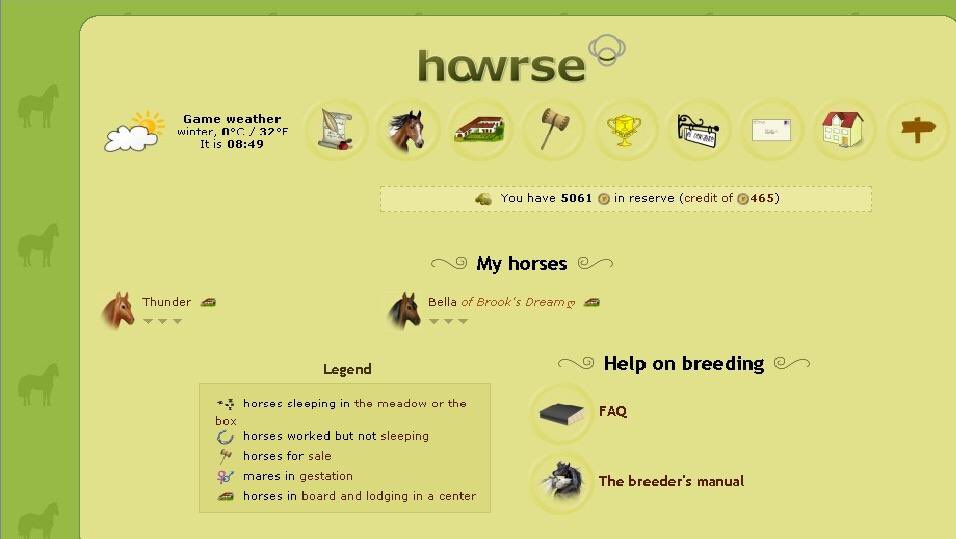 My Photos Of My Horses On Howrse