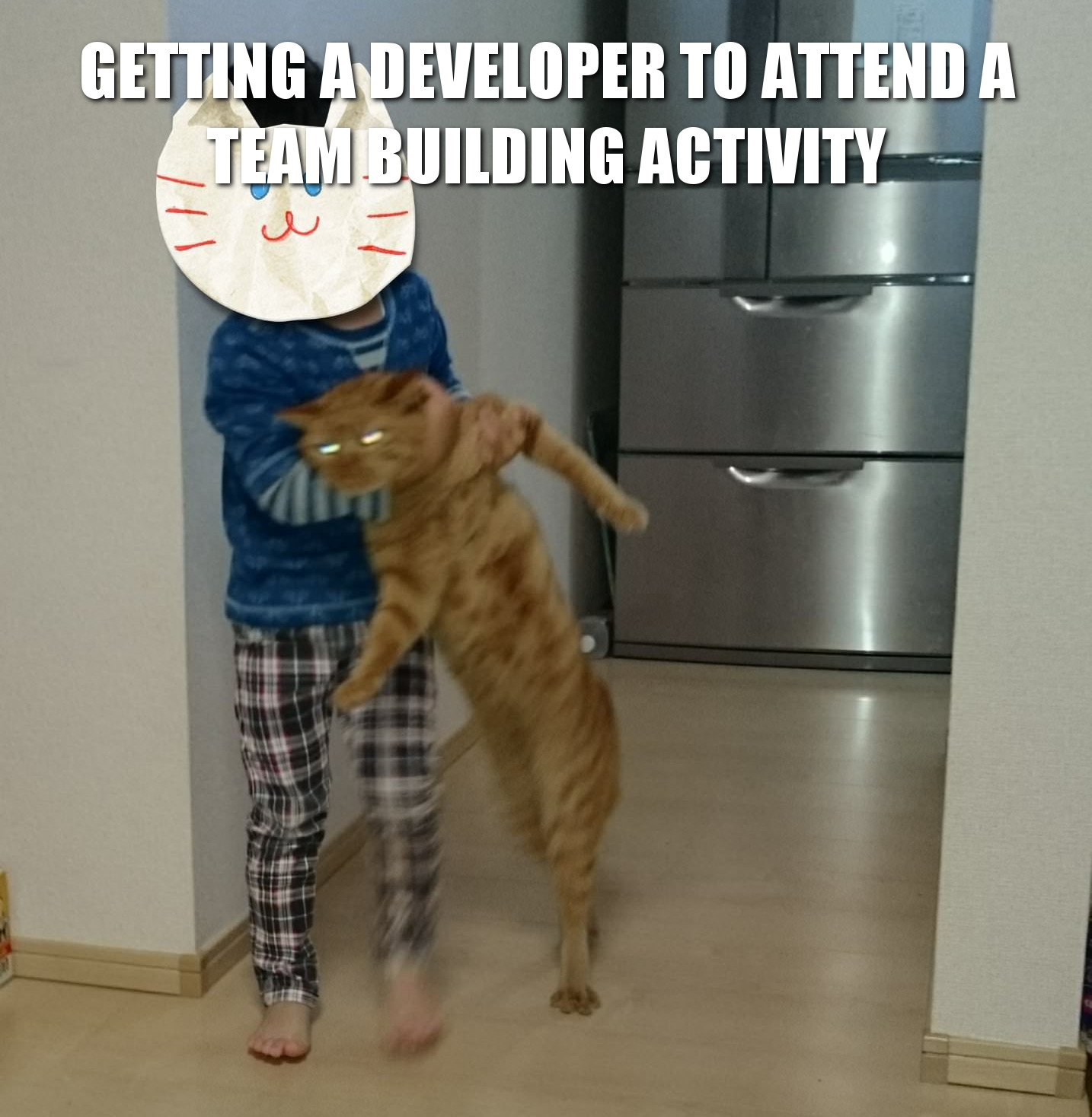 Teamwork Cat Meme
