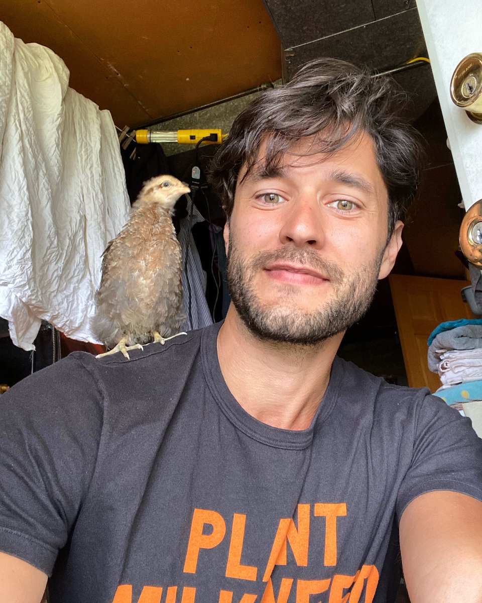 Phil Torres's Instagram, Twitter & Facebook on IDCrawl