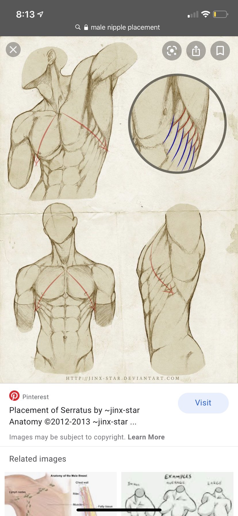Male Upper Body Reference | atelier-yuwa.ciao.jp