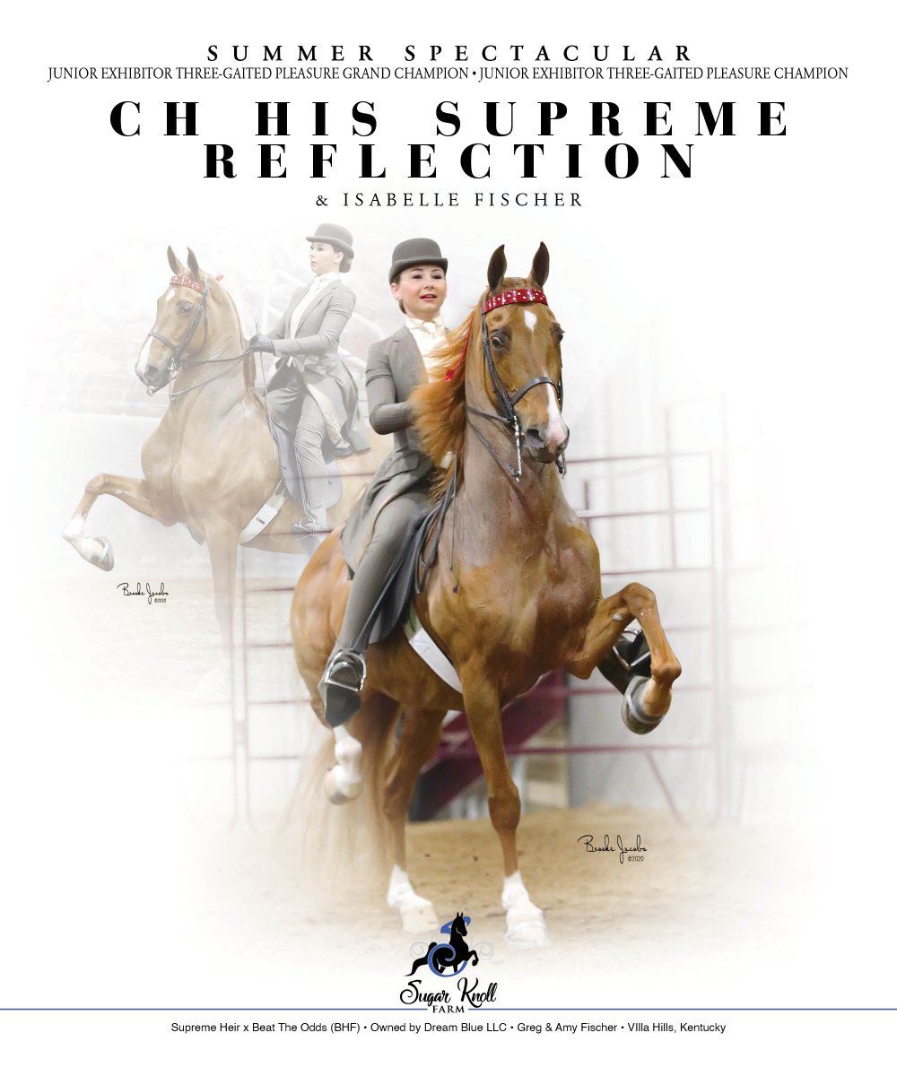 National Horseman on Twitter: "CH His Supreme Reflection & Isabelle Fischer: Summer Spectacular ...
