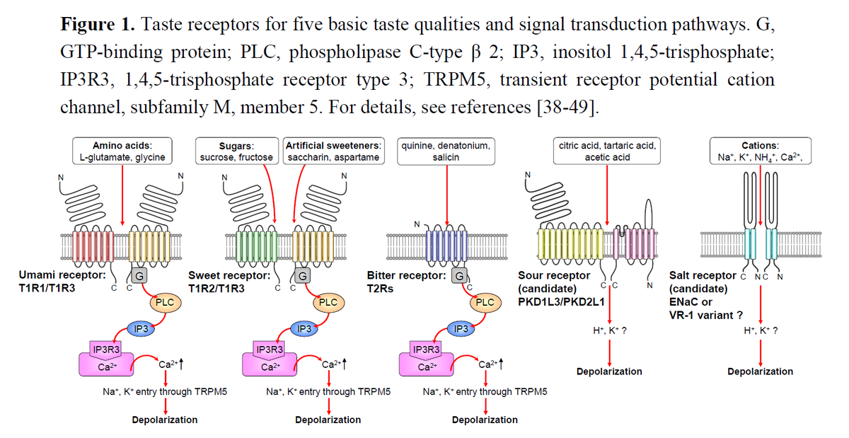 Thread by @brusicor02 on Thread Reader App – Thread Reader App