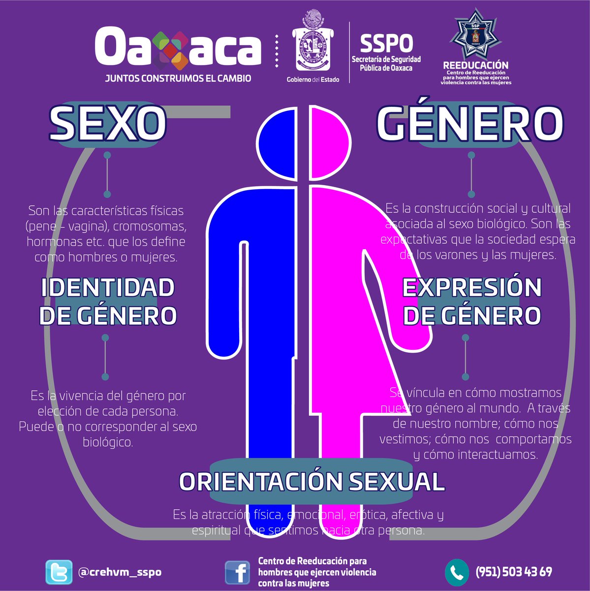 Diferencias Entre Sexo Y Gnero Imgenes Y Cuadros Cuadro Comparativo