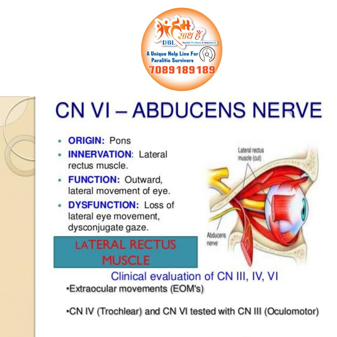 Abducens Nerve