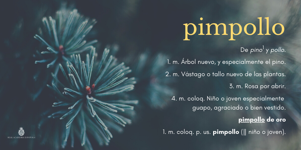 mule | Definición | Diccionario de la lengua española | RAE - ASALE