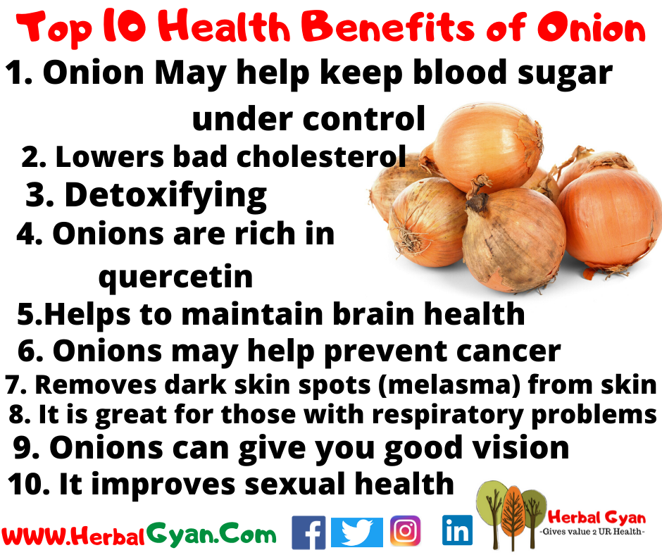 Health Benefits Onions Nutrients Royalty Free Vector Image, 48% OFF Health Benefits Onions Nutrients Royalty Free Vector Image, 48% OFF