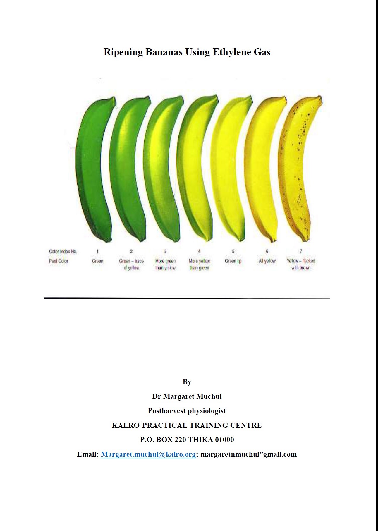 Banana Ripeness Chart FRUIT RIPENING ROOMS For BANANA, PAPAYA, MANGO,