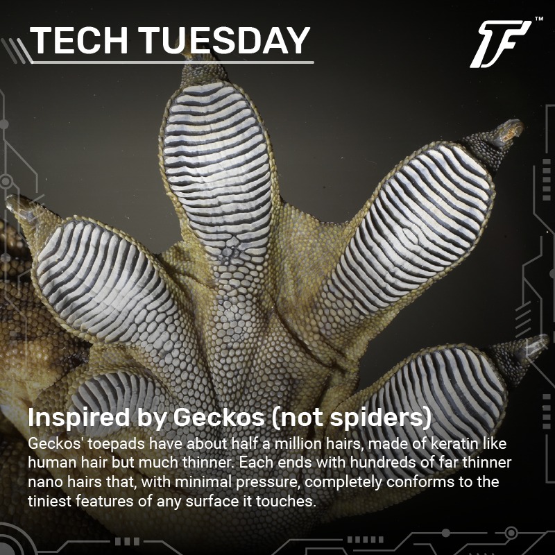 Tushar Nandy (@tushar_nandy) | Twitter