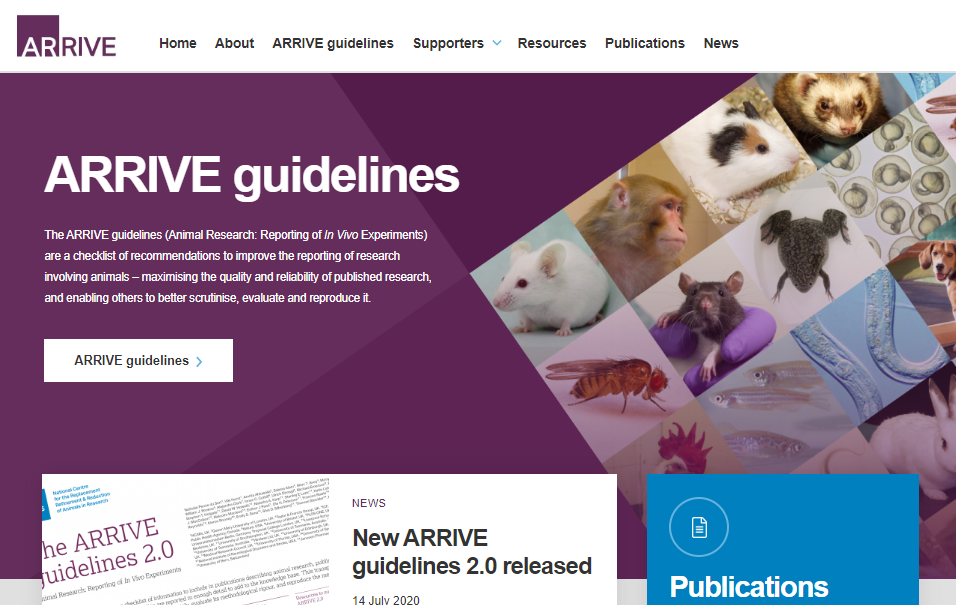 Experimental Guidelines