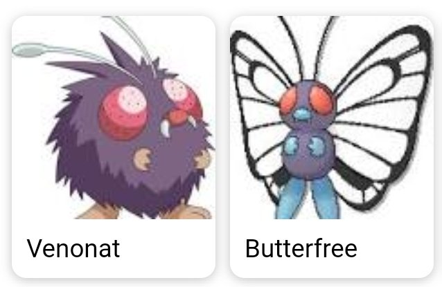 Venonat Evolution