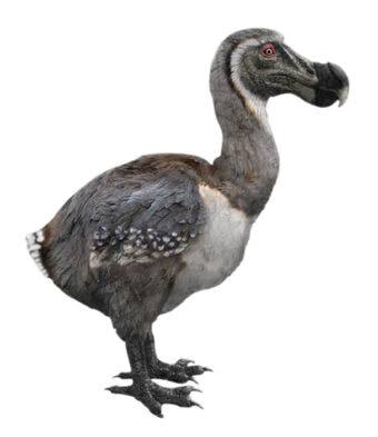 Primeval Terror Birds