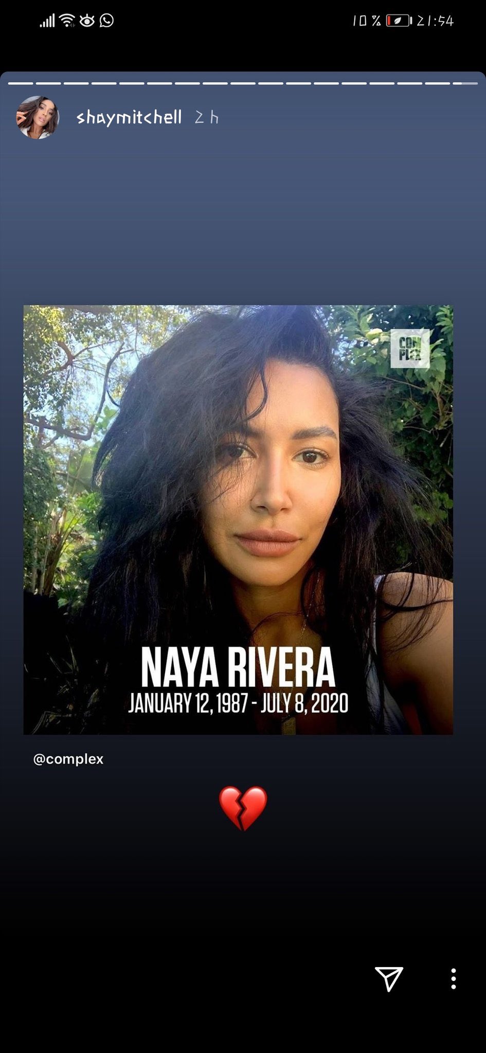 Shay Mitchell Complex