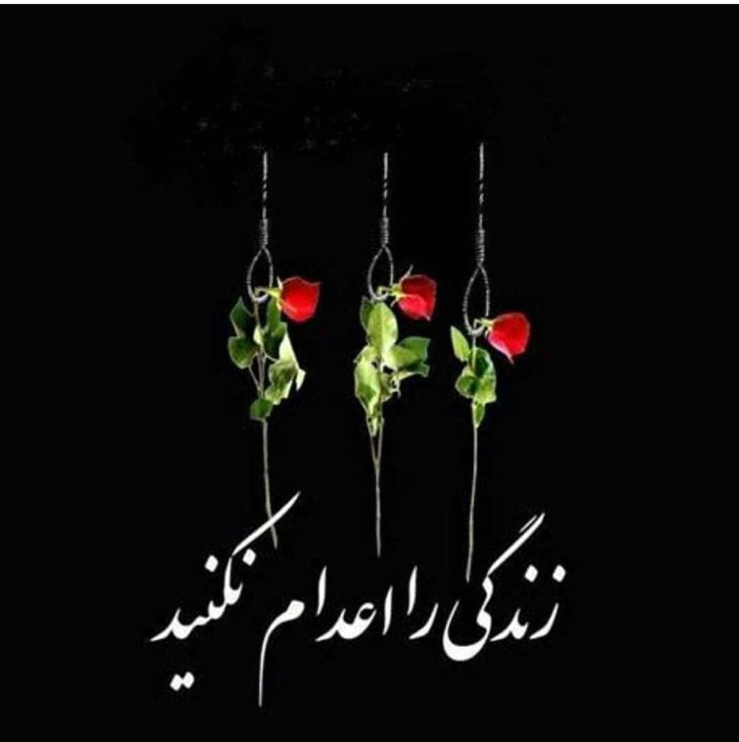 Mehran (@Mehran_NF) | Twitter