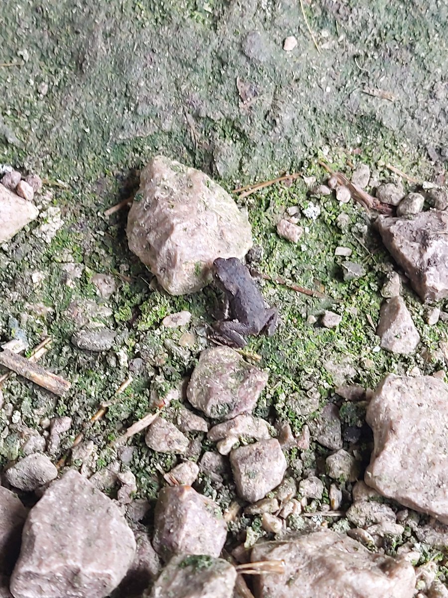 Matty Blakemore (@CRT_Matty) | Twitter