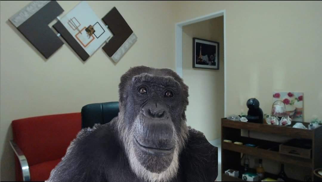 Reddit, I’ve been aware of this monkey image for a while and i want to ...