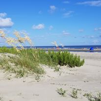 Kendyl (@Kendyl__Hull) | Twitter